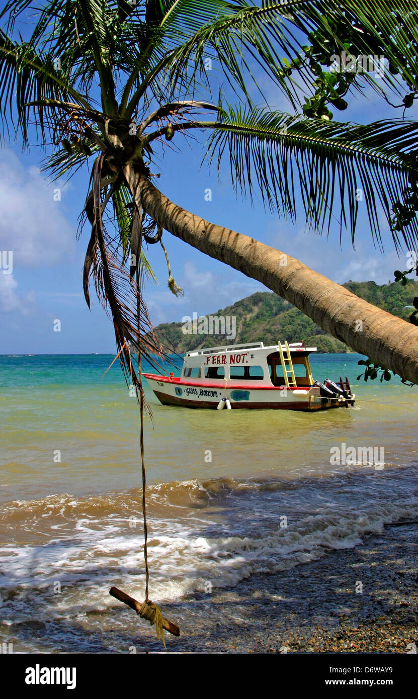 Tyrrel's bay hi-res stock photography and images - Alamy