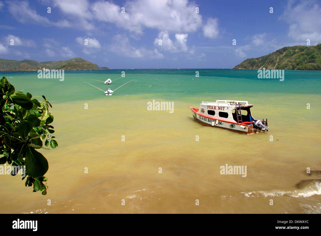 Tyrrel's bay hi-res stock photography and images - Alamy