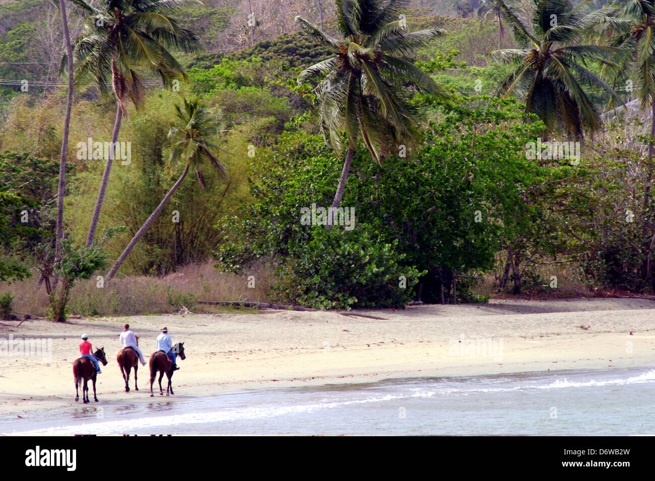 Courland bay in tobago hi-res stock photography and images - Alamy