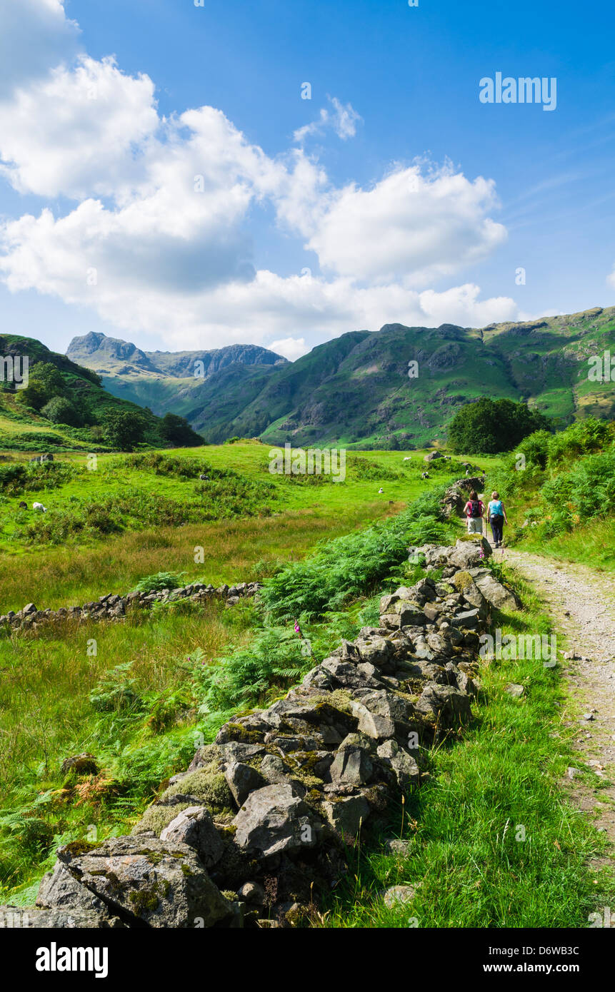 Great Langdale Valley looking towards the Langdale Pikes in the English ...