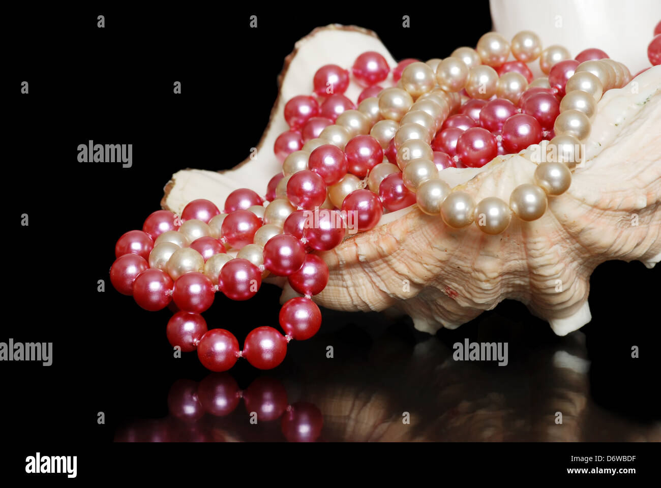 Pink pearl shell hi-res stock photography and images - Alamy