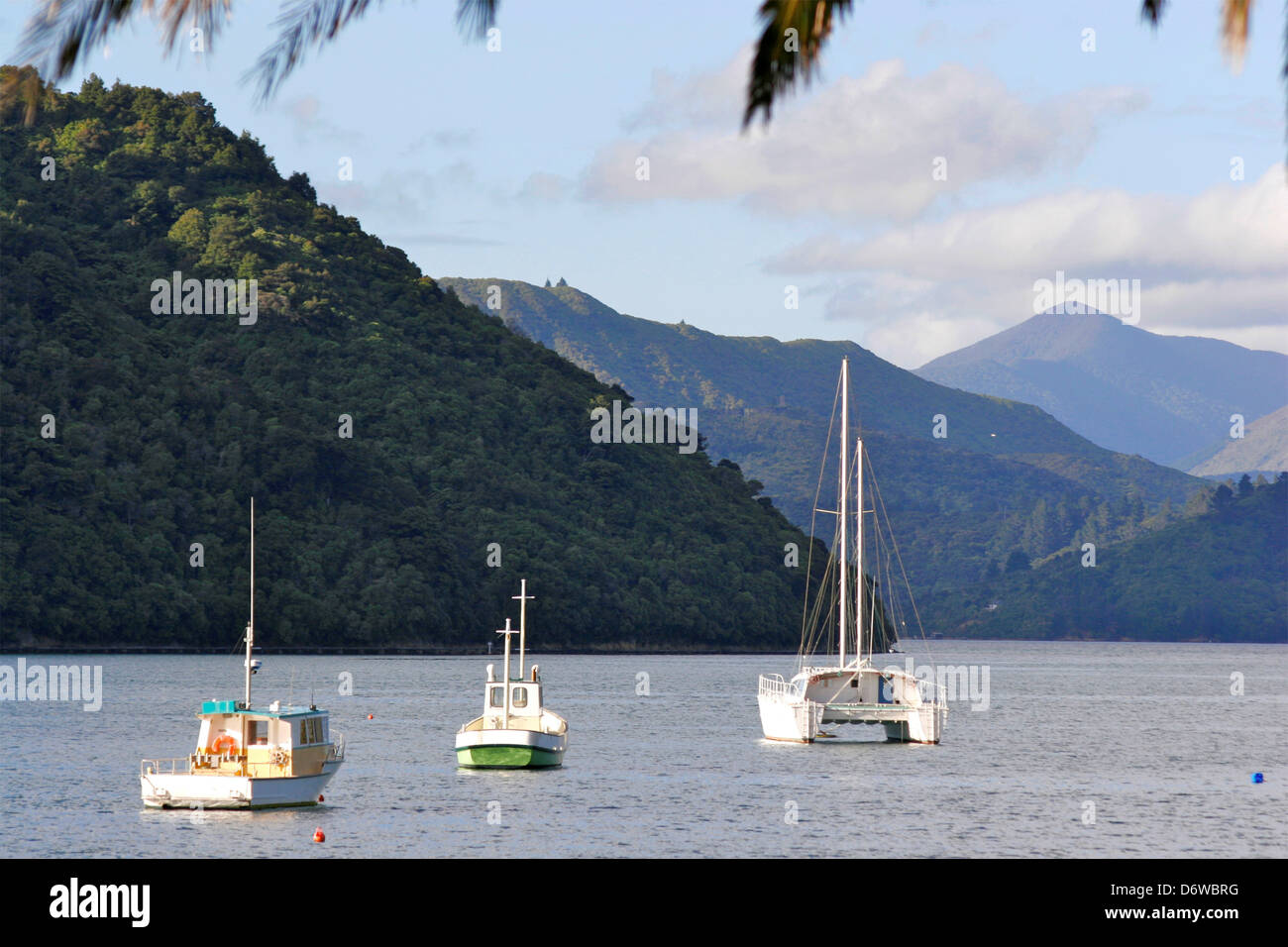 New Zealand, Lake Manapouri (Near Te Anau Stock Photo - Alamy
