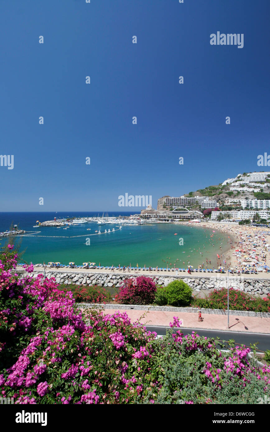 Spain, Canary Islands, Gran Canaria, Puerto Rico Stock Photo - Alamy