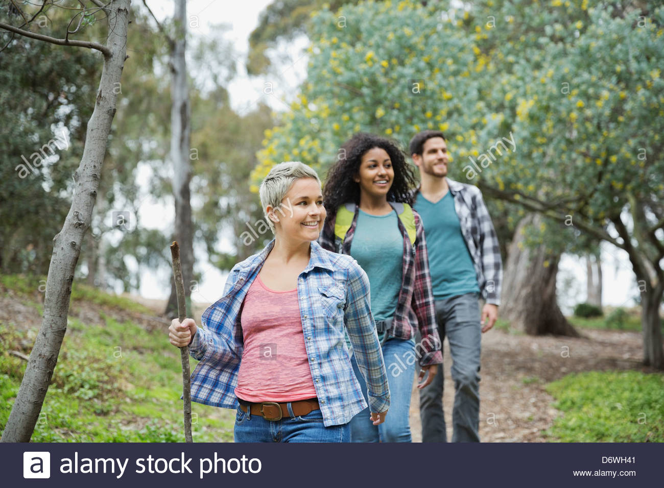 Happy friends hiking together in forest Stock Photo - Alamy