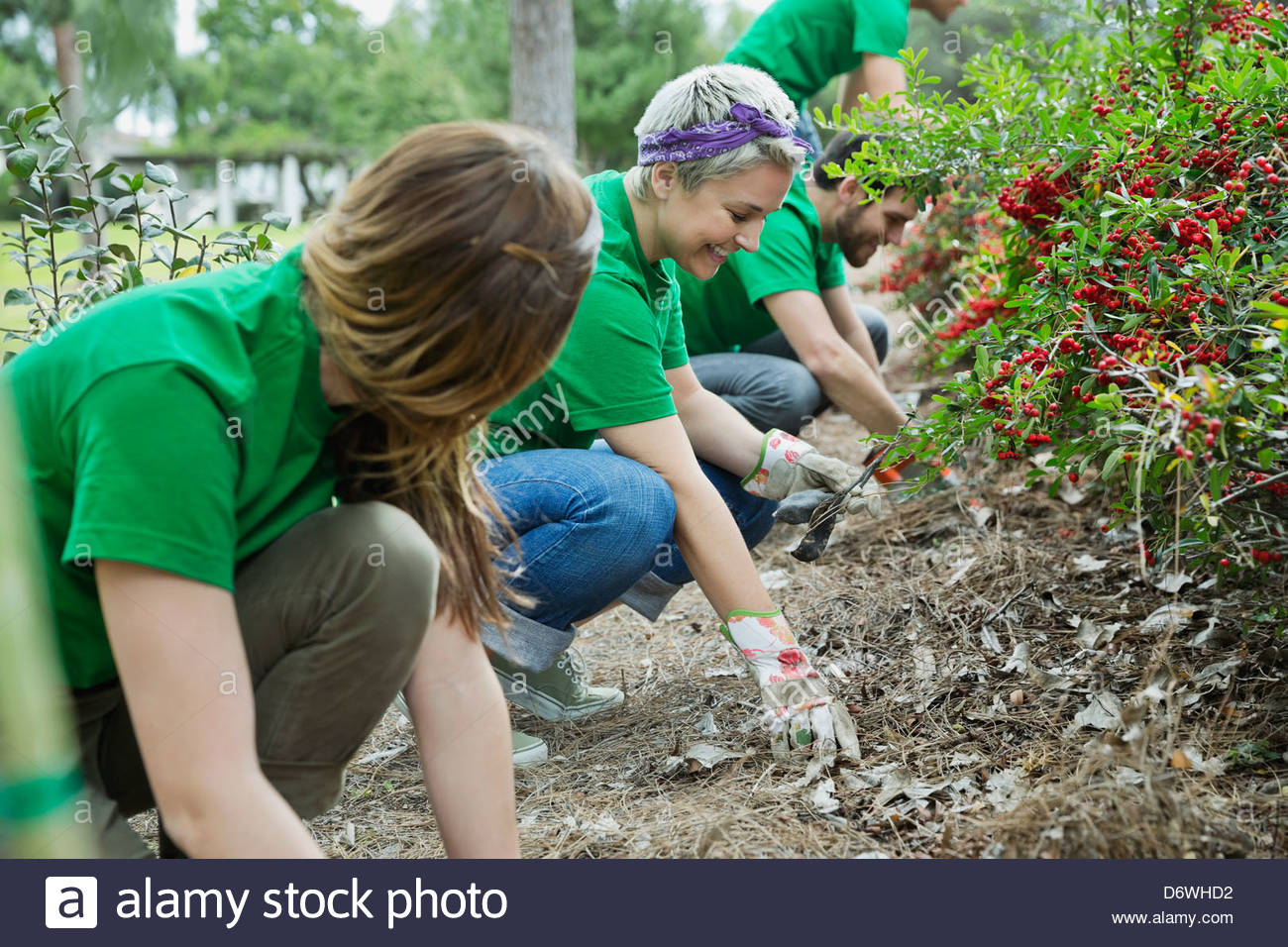 Park cleaning clean up hi-res stock photography and images - Alamy