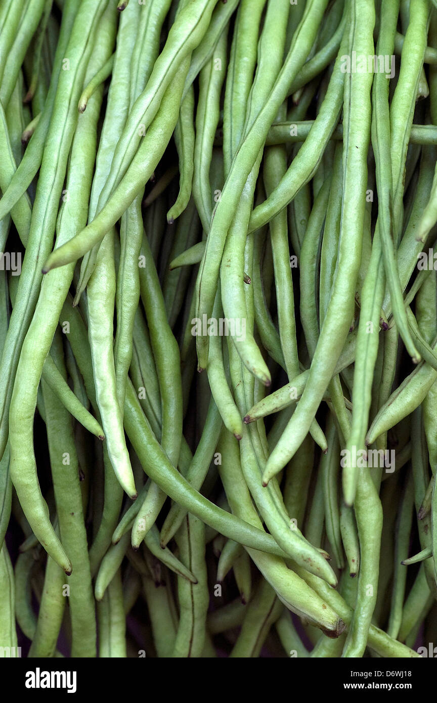Chinese long beans for sale at a produce market, Chinatown, New York ...