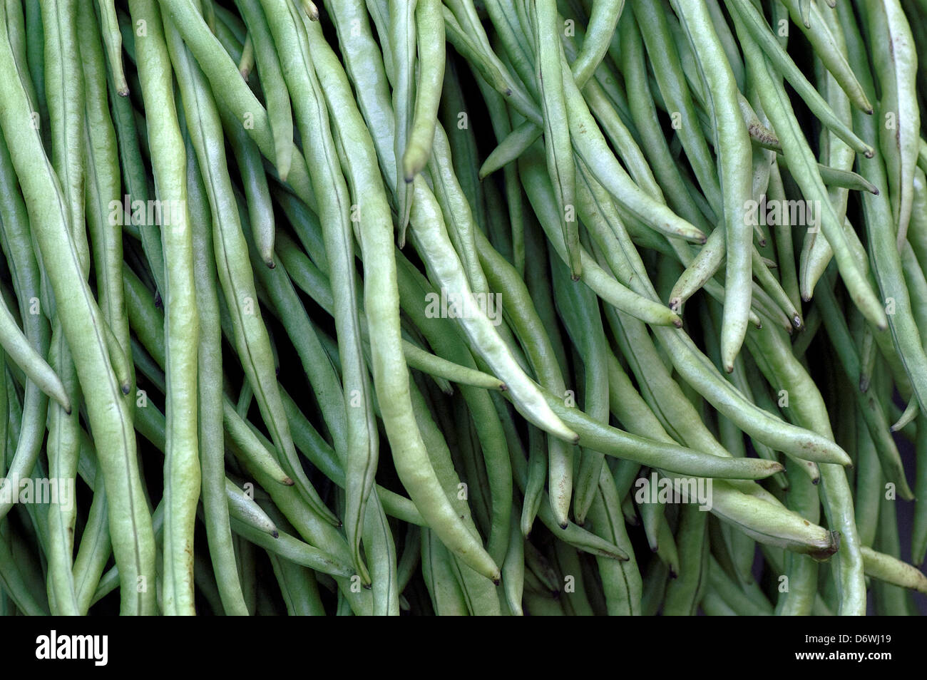 Chinese long beans for sale at a produce market, Chinatown, New York ...