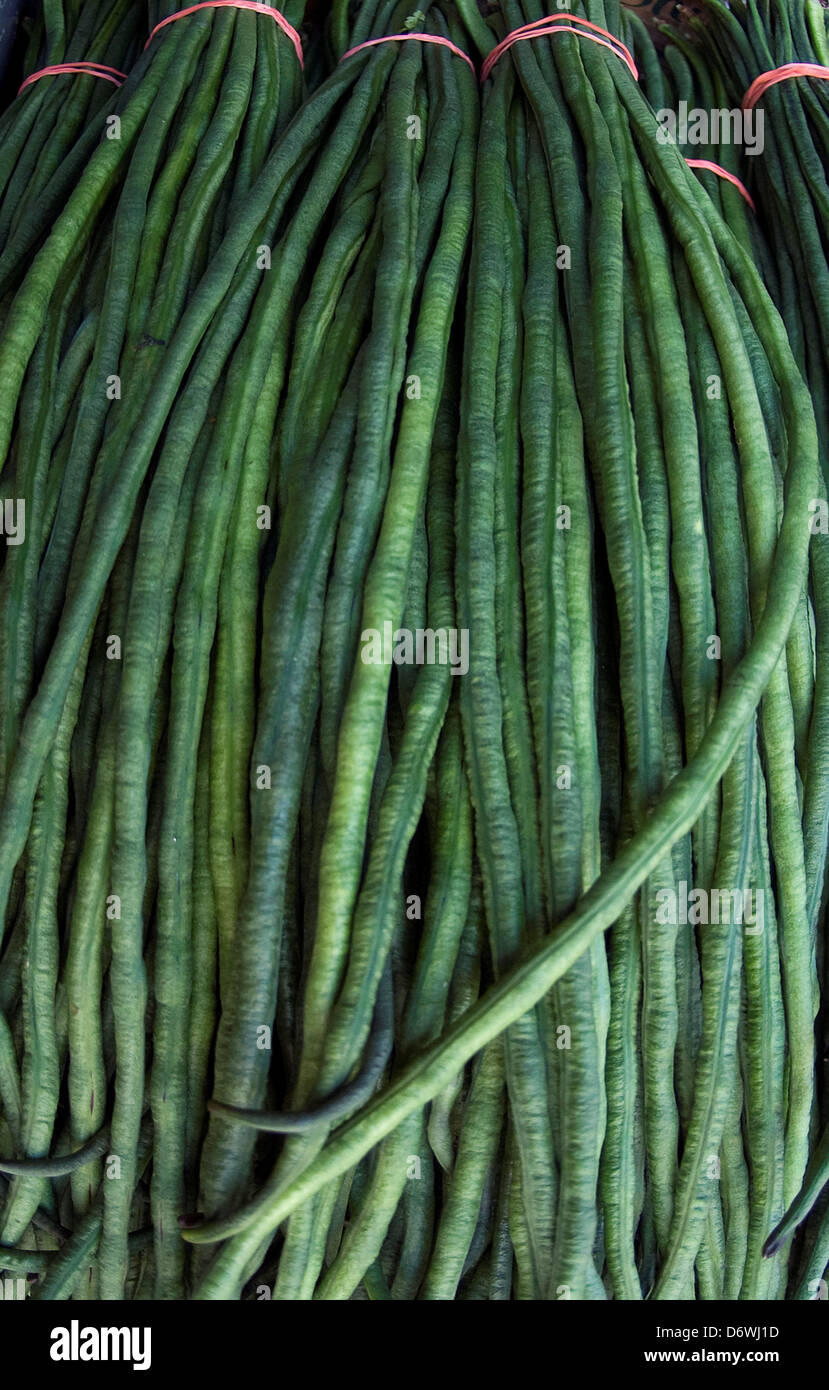 Chinese long beans for sale at a produce market, Chinatown, New York ...