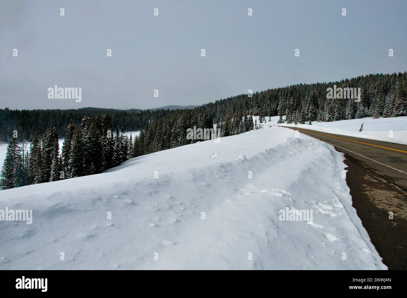 Grand mesa national forest winter hi-res stock photography and images ...
