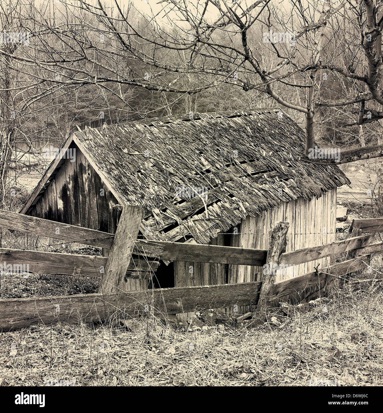 USA, Appalachian, Old run down house Stock Photo - Alamy