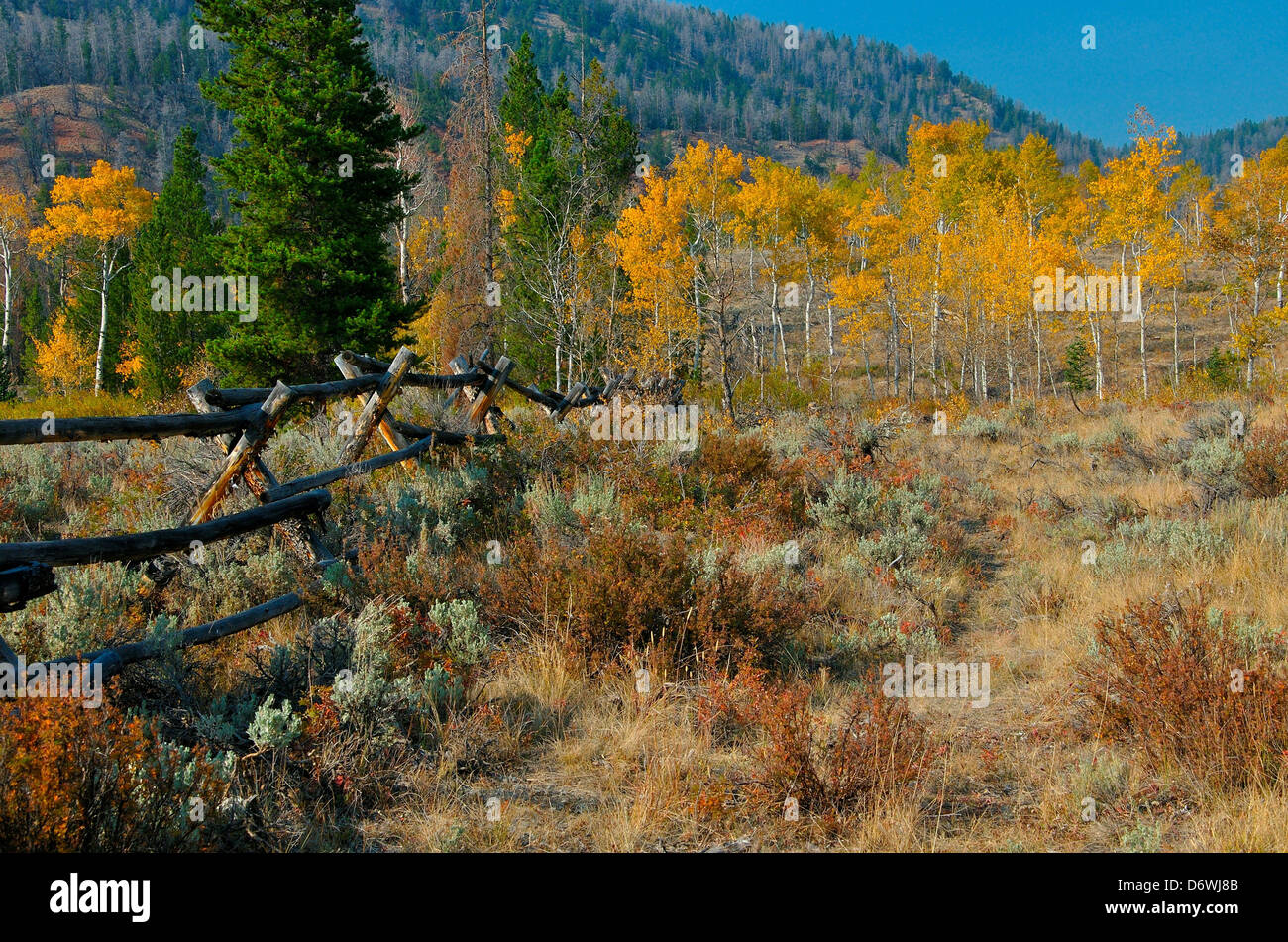 USA, Wyoming, Wilderness Landscape Stock Photo - Alamy
