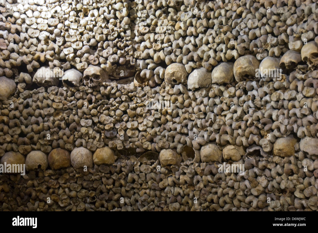 Human skulls lining the walls of the ancient Catacombs in Paris, Ile-de ...