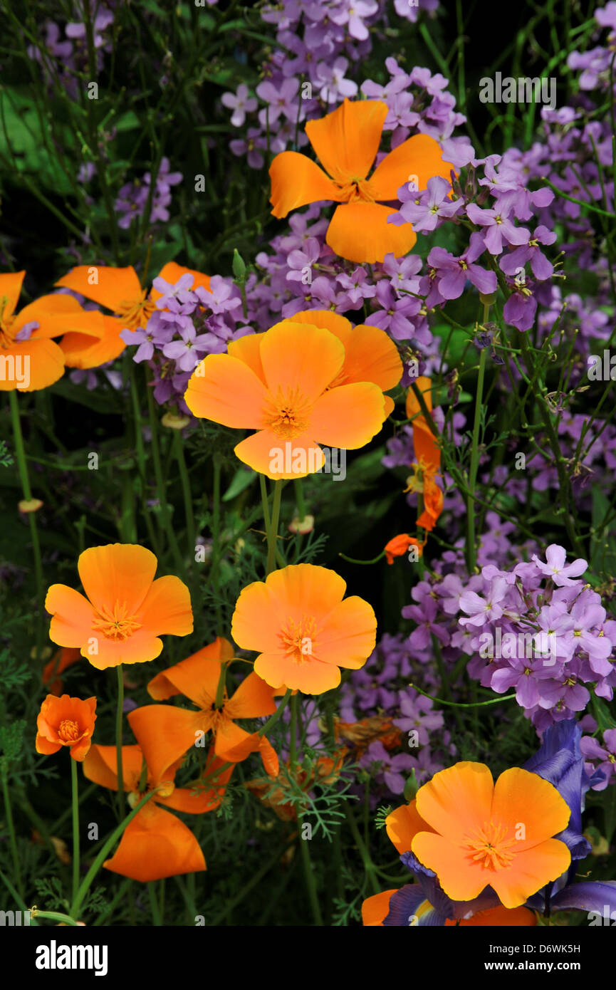Spring flowers at Monet's Giverny Garden, New York Botanical Garden ...
