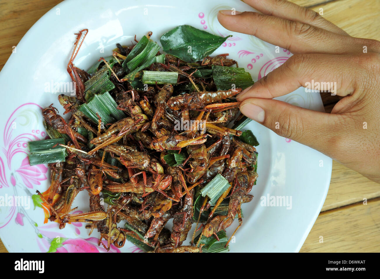 Fried grasshoppers plate hi-res stock photography and images - Alamy