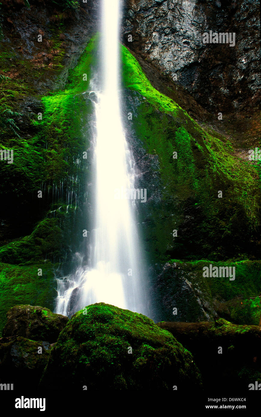Waterfall in a forest, Marymere Waterfall, Olympic National Park ...