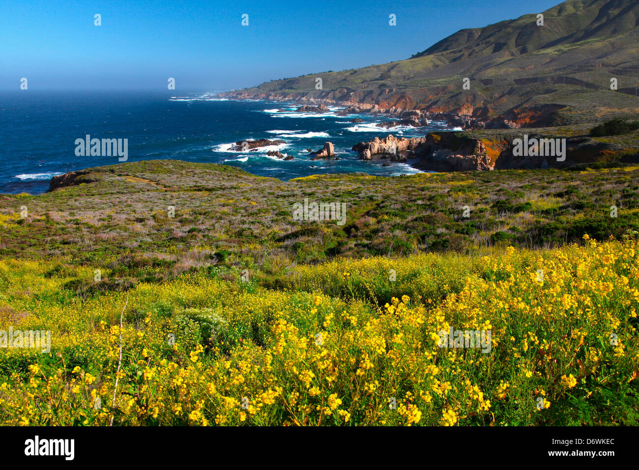 Big Sur Coast, Garrapata State Park, California Stock Photo - Alamy