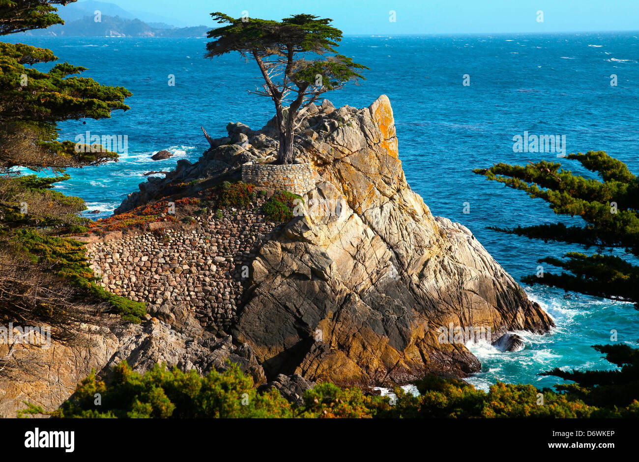 Lone Cypress & Coastline, Monterey Peninsula Stock Photo - Alamy