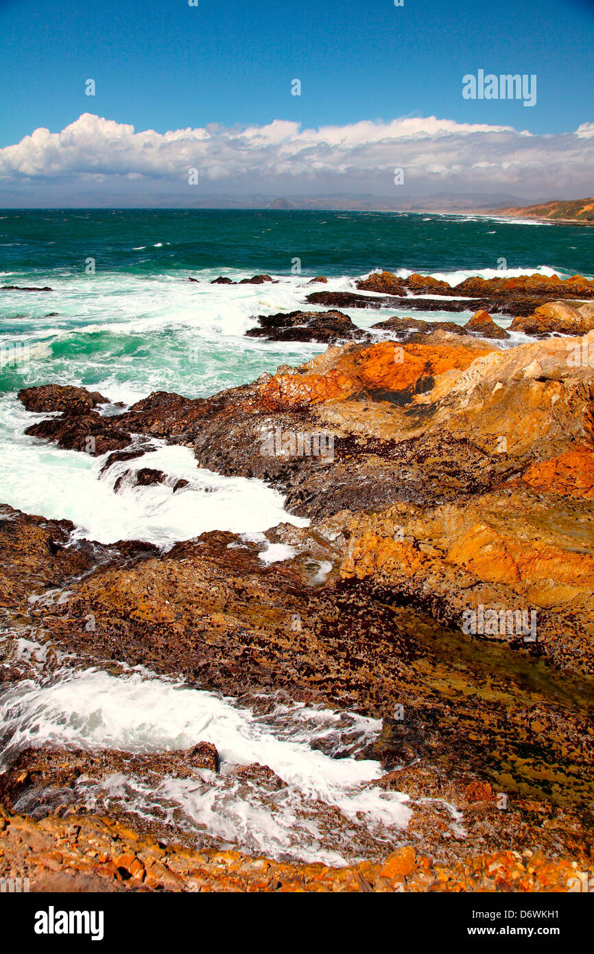 USA, California, San Luis Obispo County, Montana de Oro State Park ...
