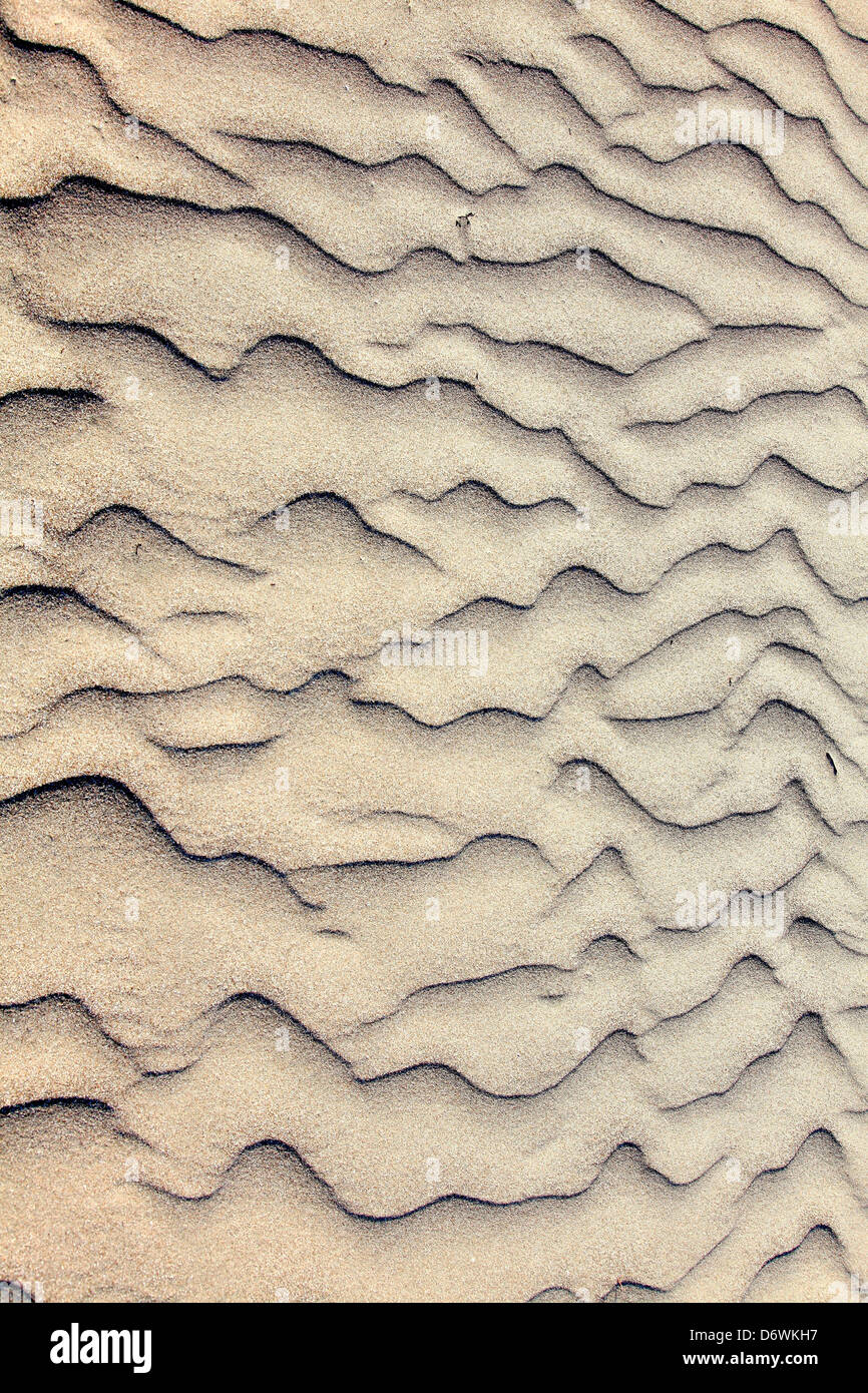 USA, California, Morro Strand State Beach, Wind-Sculpted Sand Ripples ...