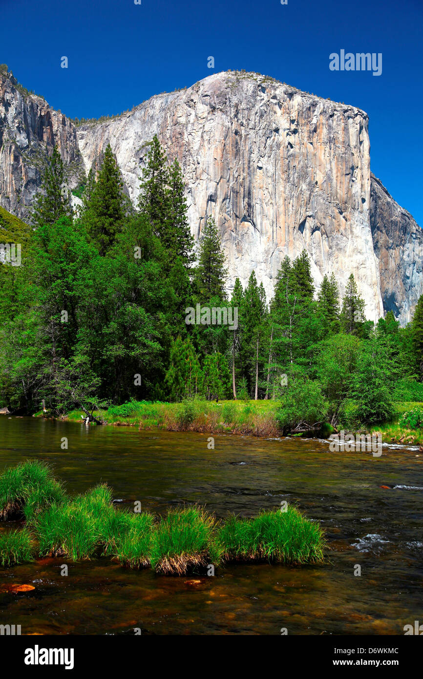 USA, California, Yosemite National Park, El Capitan above Merced River ...
