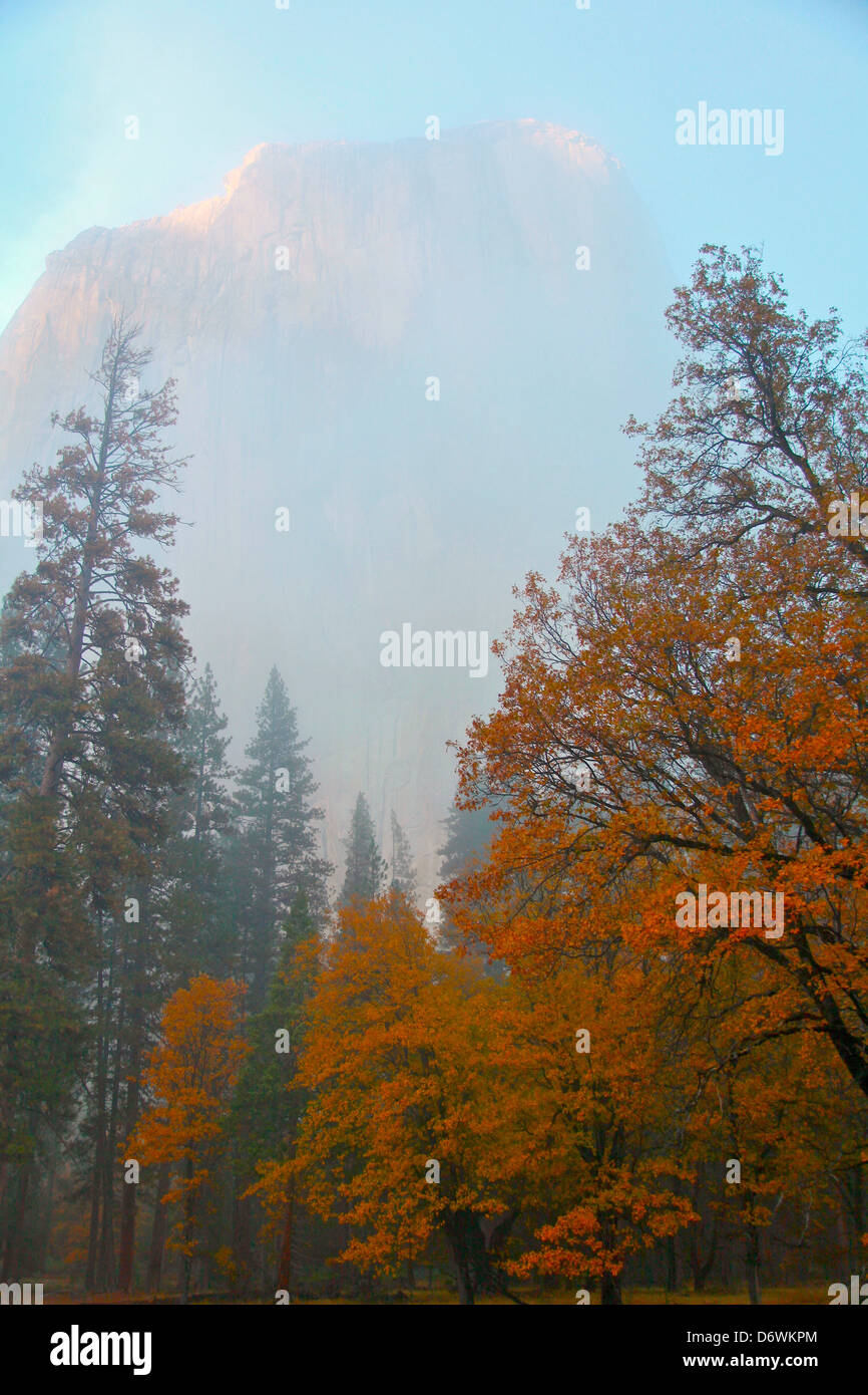 USA, California, Yosemite National Park, Morning mist shrouding ...