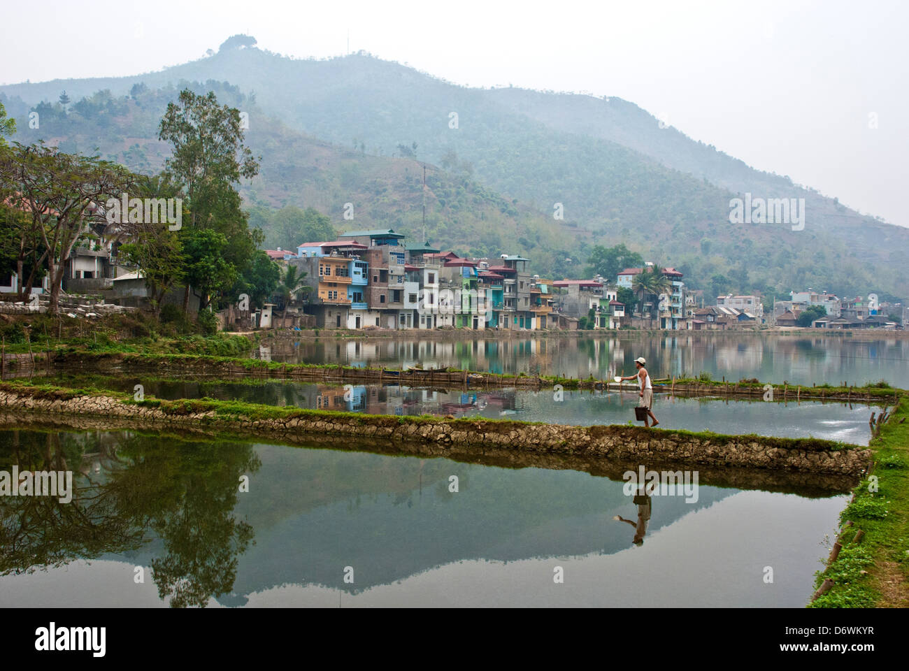 Vietnam, Fish farm Stock Photo - Alamy