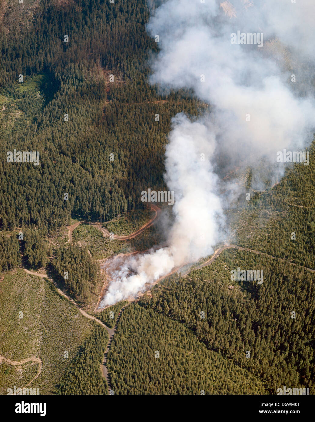 USA, Oregon, Mt. Hood National Forest, Aerial view of logging slash ...