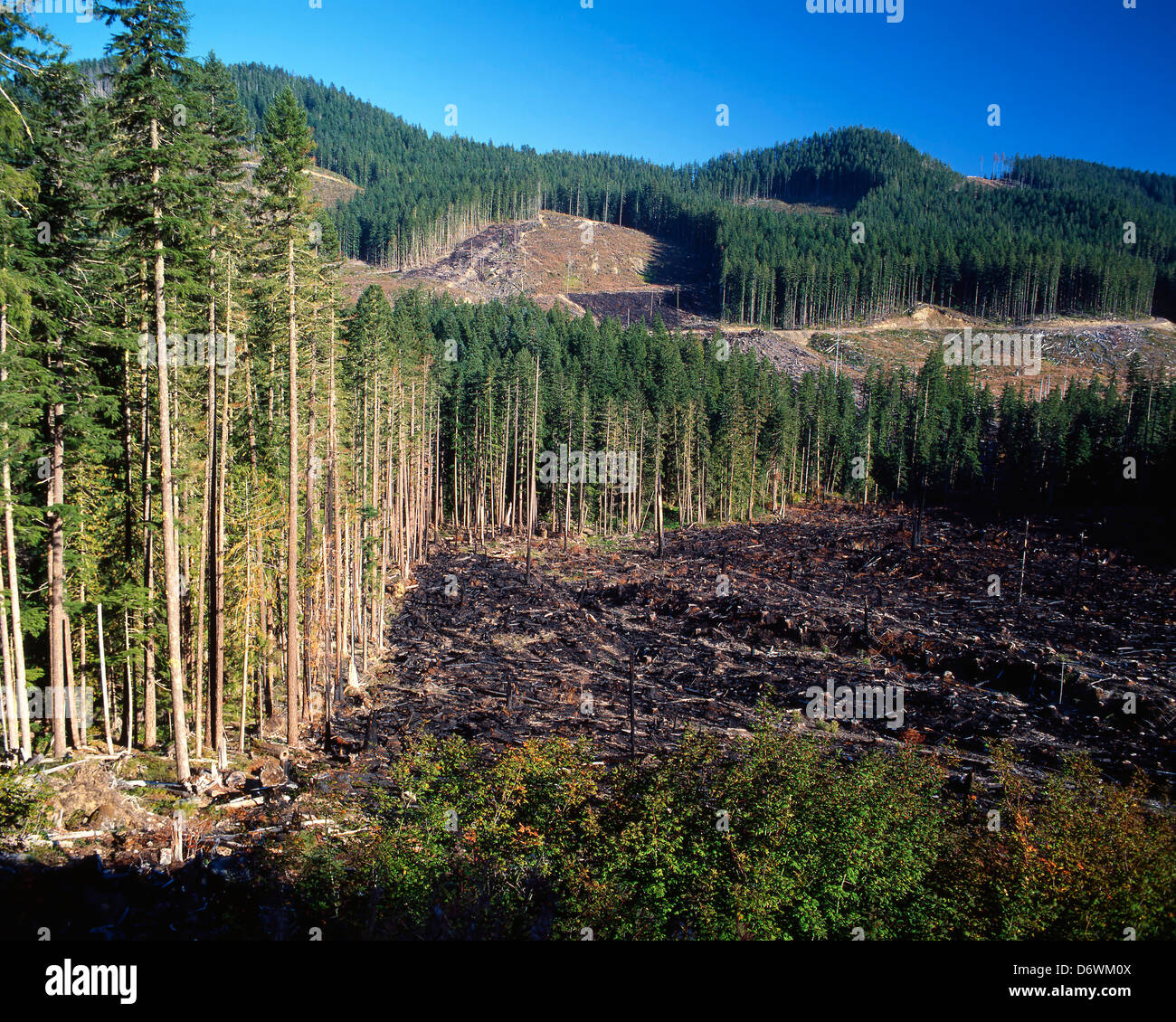 Northern oregon coast range hi-res stock photography and images - Alamy