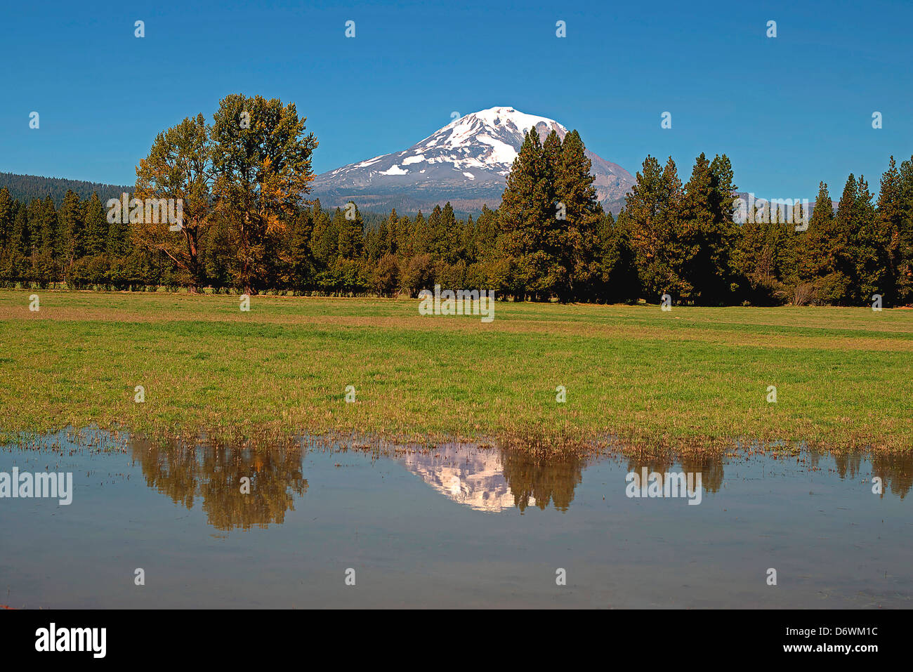 USA, Southern Washington, Mt Adams seen from Conboy National Wildlife ...