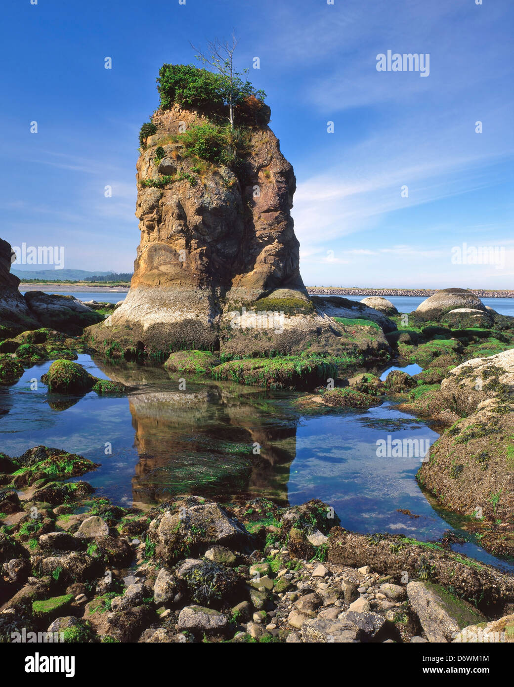USA, Oregon coast, Tillamook Bay, Sea stack at low tide Stock Photo - Alamy