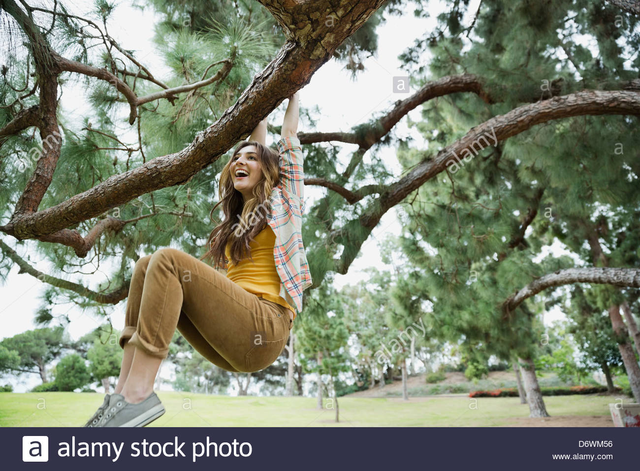 Woman Hanging Tree Stock Photos & Woman Hanging Tree Stock Images - Alamy