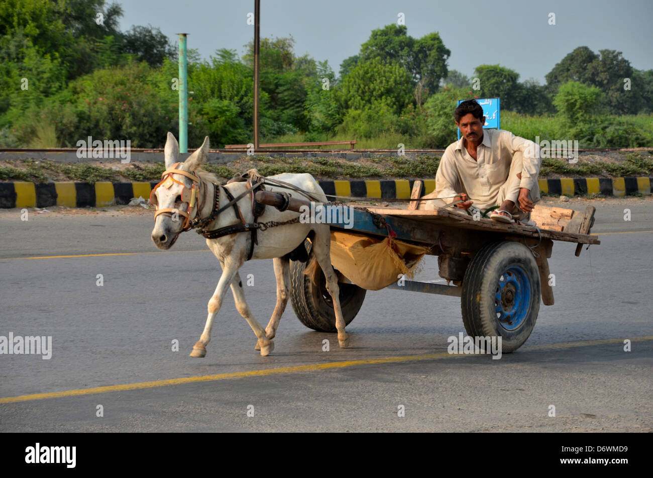 Donkey cart with driver on Pakistani highway Stock Photo - Alamy