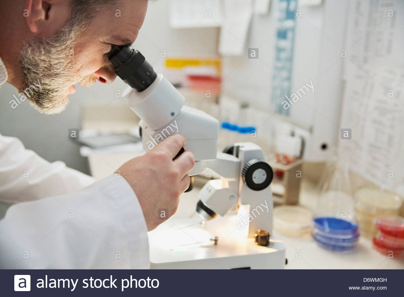 Laboratory technologist hi-res stock photography and images - Alamy