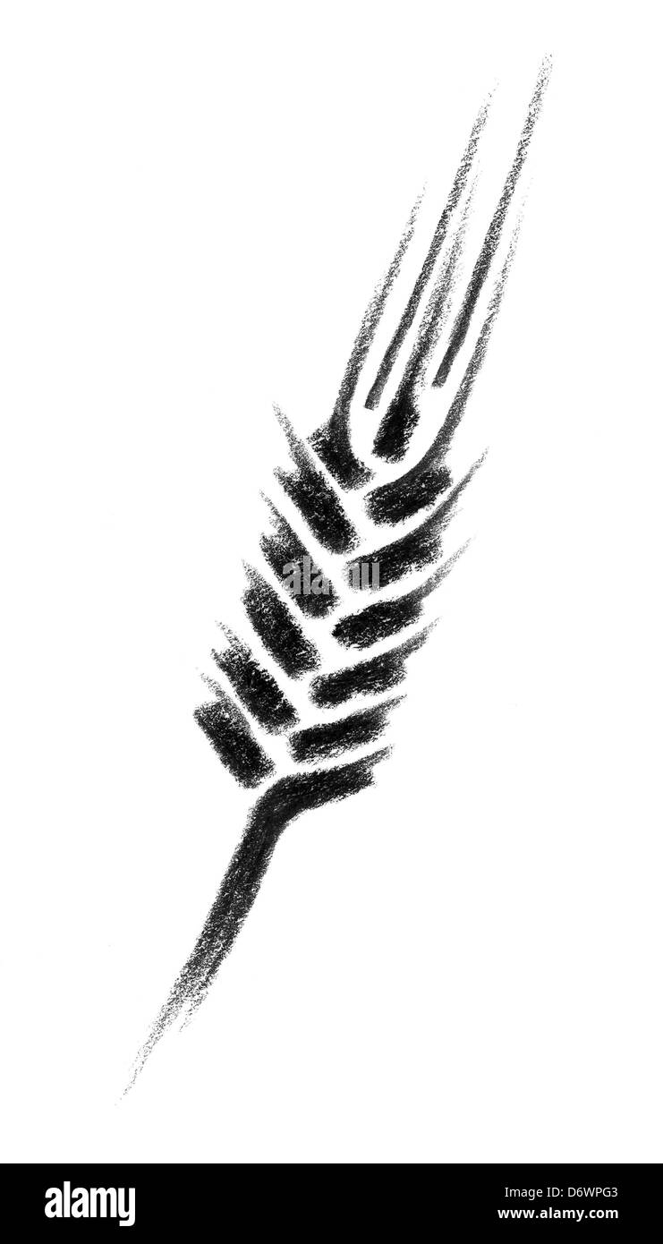 crayon-sketched illustration of a spike head Stock Photo - Alamy