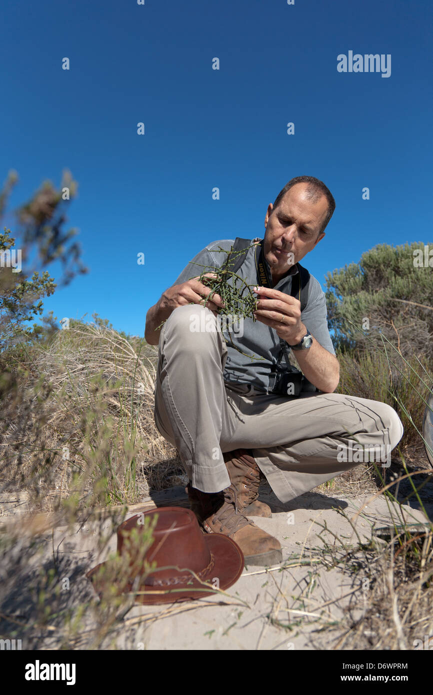 Crouches hi-res stock photography and images - Alamy