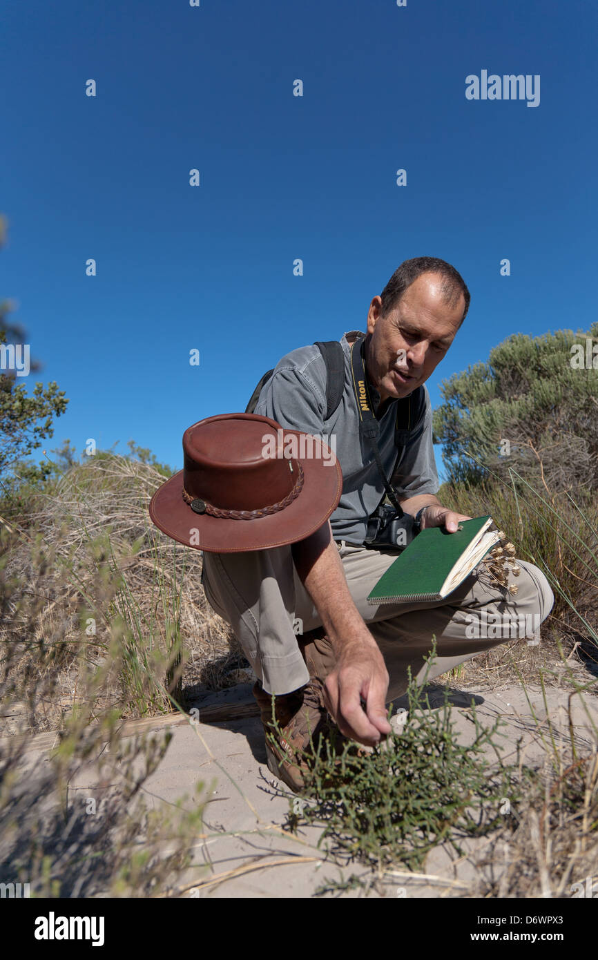 Crouches hi-res stock photography and images - Alamy