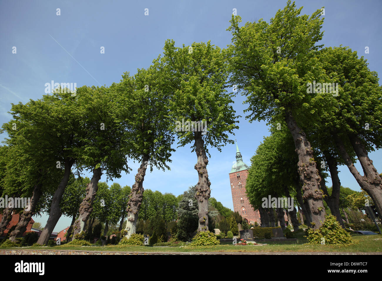 Burg on Fehmarn, Germany, three-aisled hall church of St. Nikolai Stock ...
