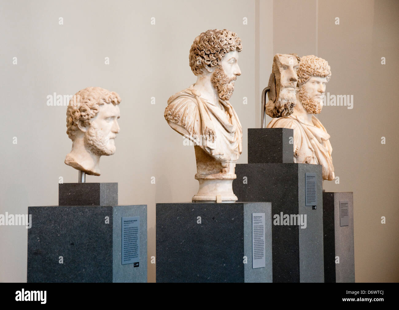 Stone busts in the Greek and Roman Art Gallery in the Metropolitan ...