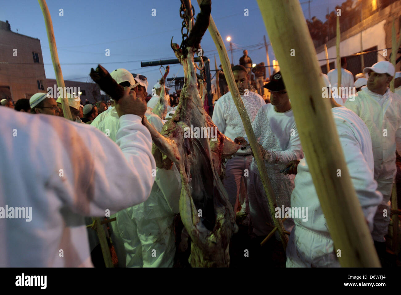 Passover samaritans ceremony sacrifice hi-res stock photography and ...