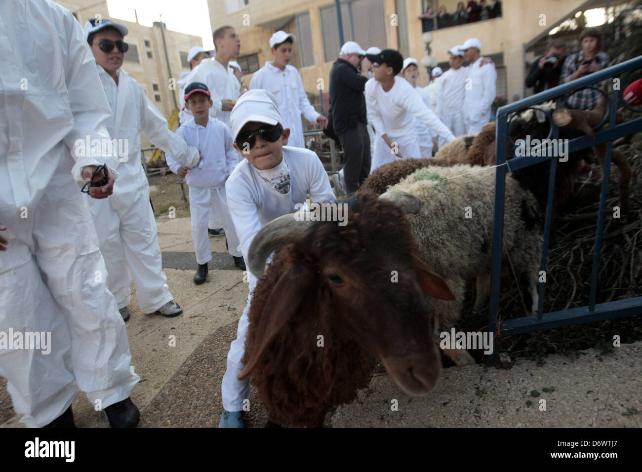 Passover samaritans ceremony sacrifice hi-res stock photography and ...
