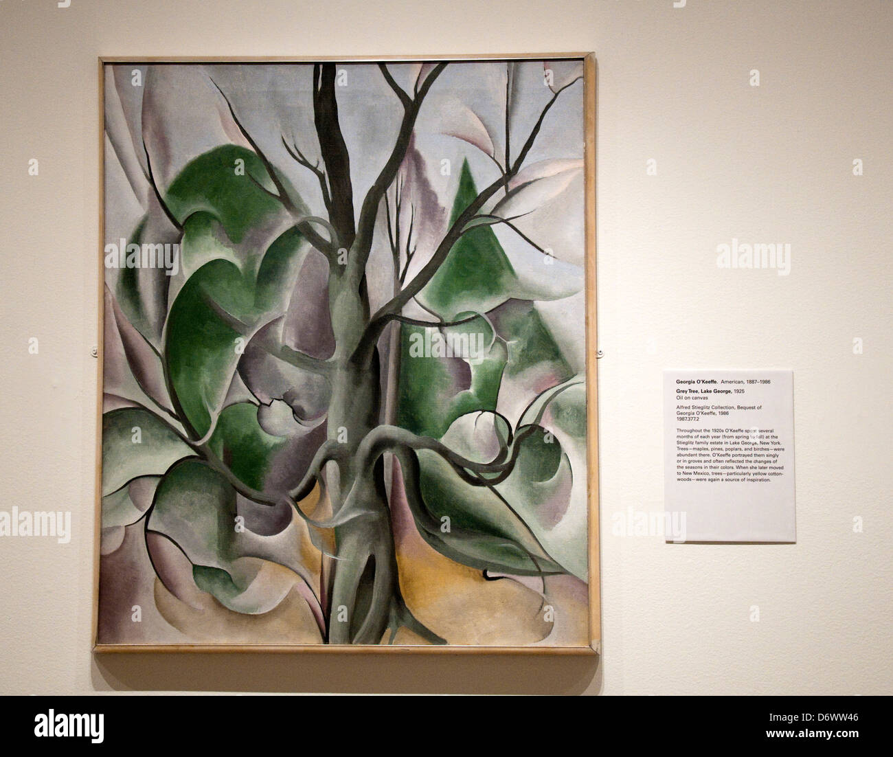 Grey Tree, Lake George (1925) by Georgia O'Keeffe in the Metropolitan ...