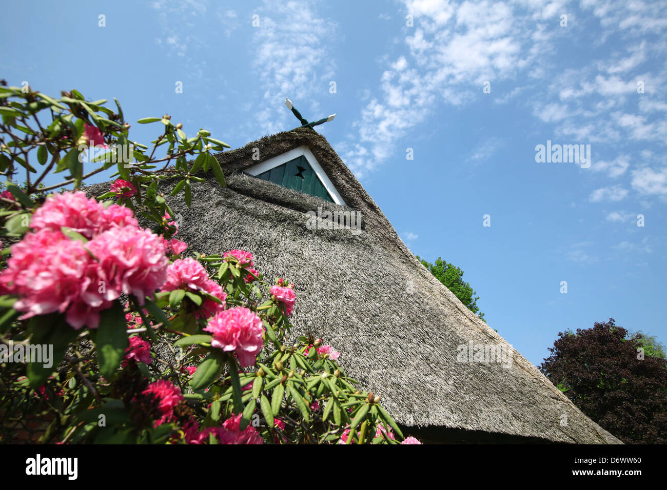 Huje, Germany, in the village of thatched Huje Stock Photo - Alamy