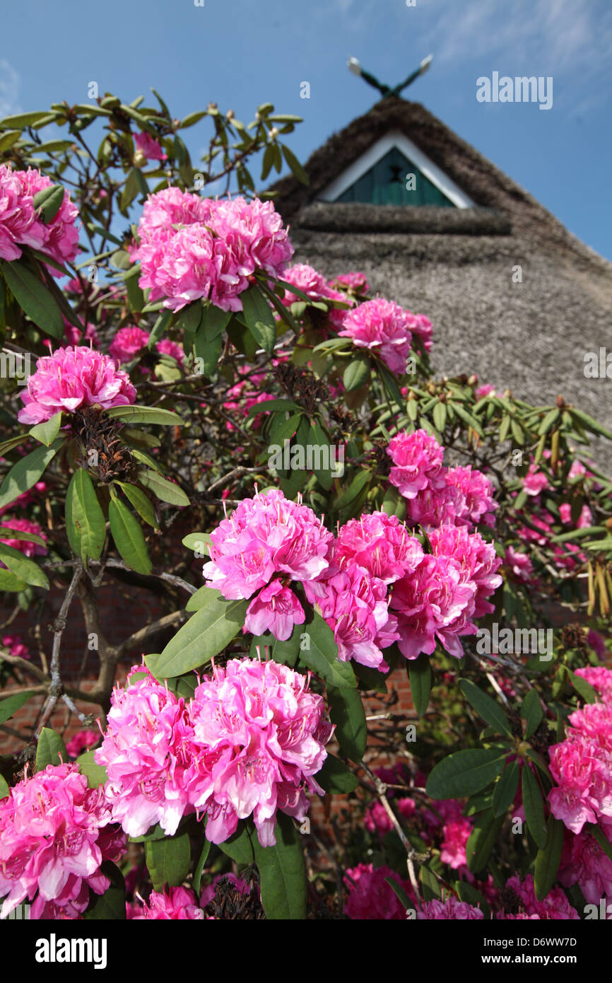 Village country germany people hi-res stock photography and images - Alamy