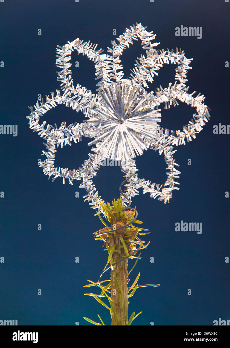 A real star hi-res stock photography and images - Alamy