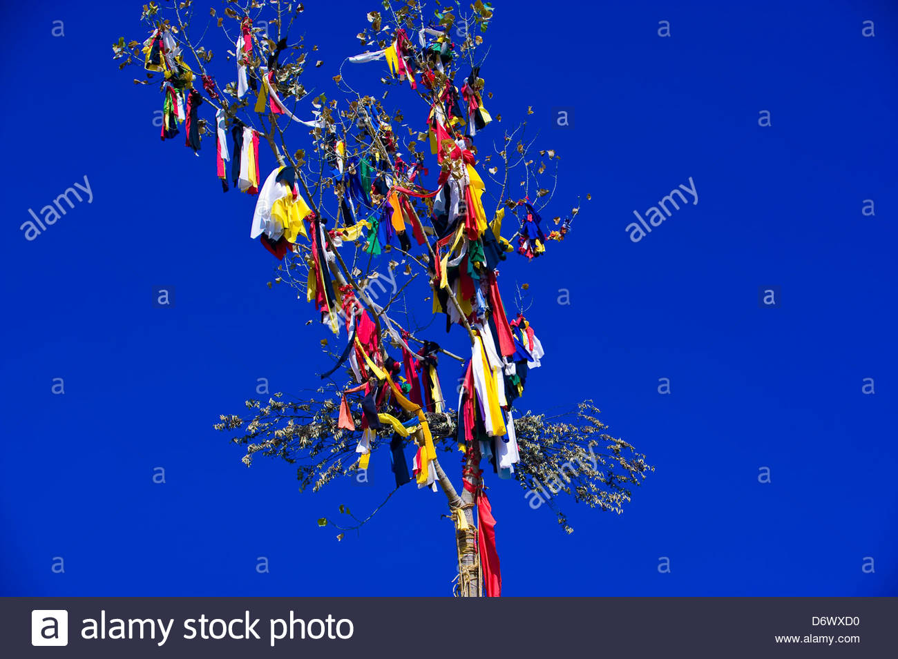 North And South Pole Stock Photos & North And South Pole Stock Images ...