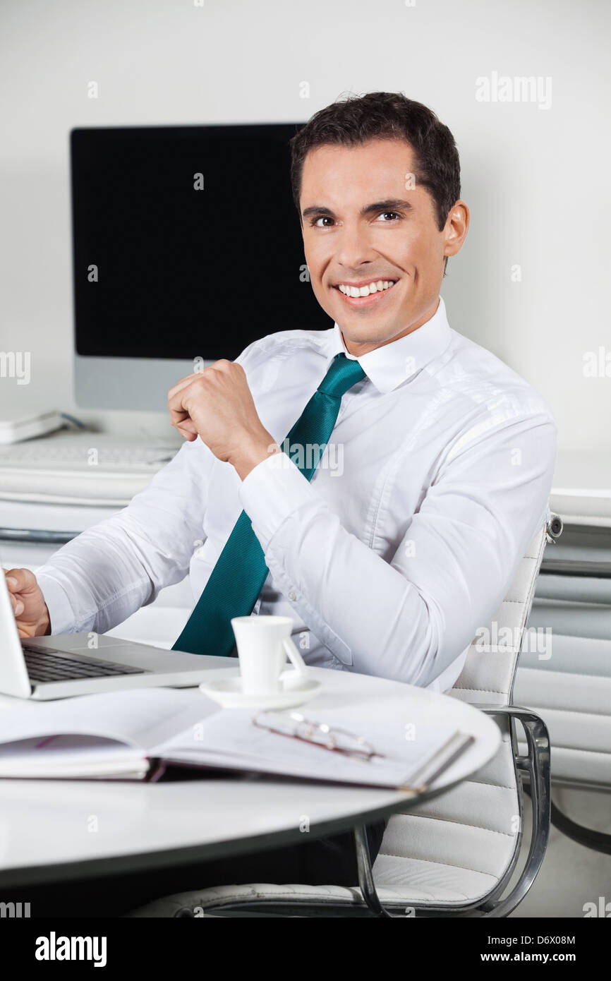 Successful smiling manager working with laptop in his office Stock ...