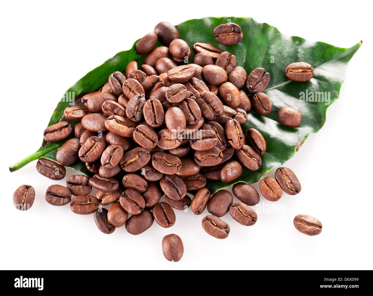 Coffee beans on leaf. Closeup snapshot on a white background Stock ...