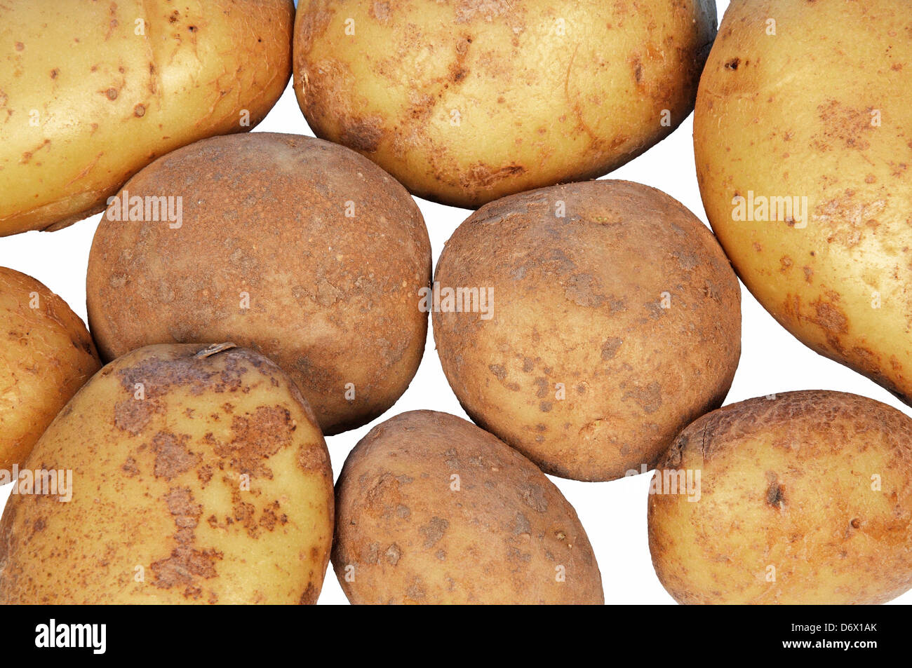 Raw White Potatoes Stock Photo - Alamy