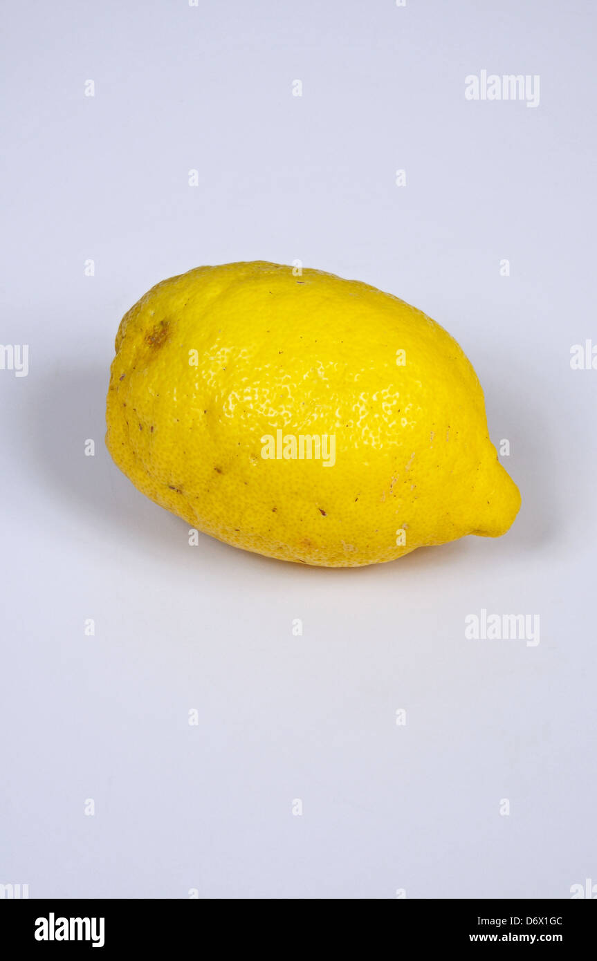 Uncut lemon against a plain background Stock Photo - Alamy
