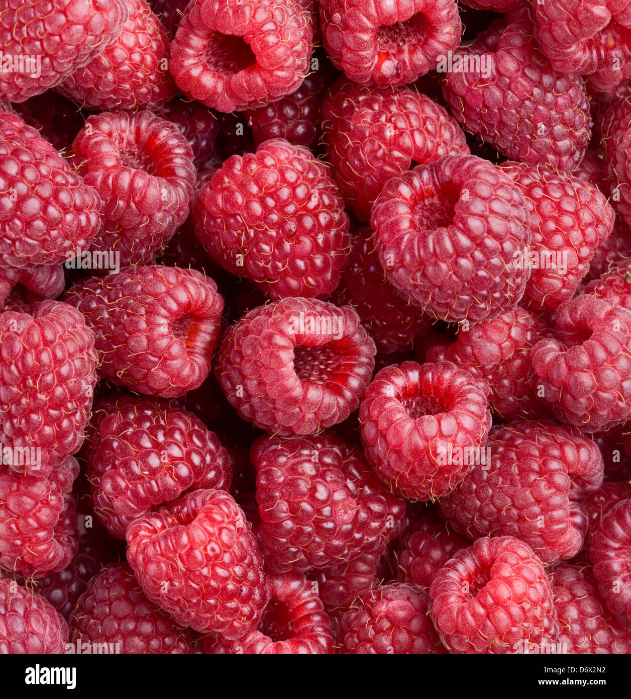 Color raspberry hi-res stock photography and images - Alamy